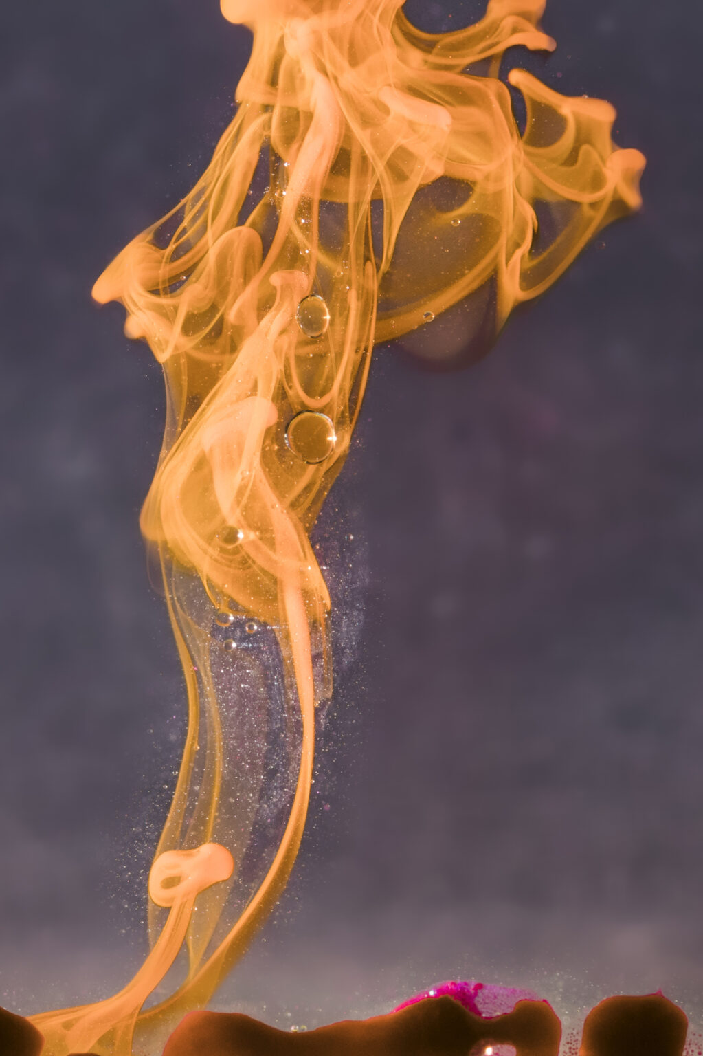 Experimental Photography: Techniques, Ideas & Creative Methods
